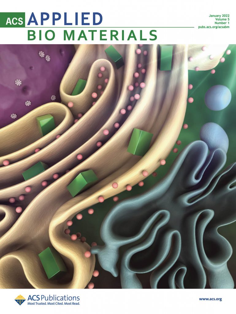 論文雑誌「ACS Applied Bio Materials」のカバーピクチャーを制作しました[徳島大学] | 株式会社アートアクション