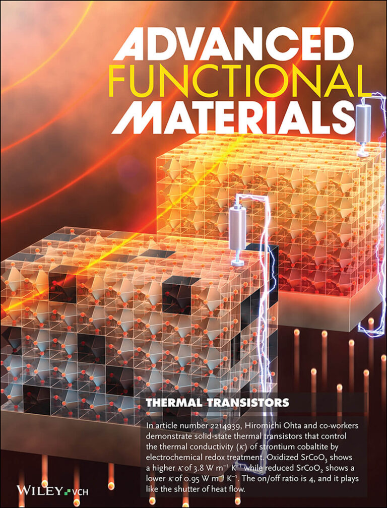 論文雑誌「Advanced Functional Materials 」のカバーピクチャーを制作しました[北海道大学] | 株式会社アートアクション