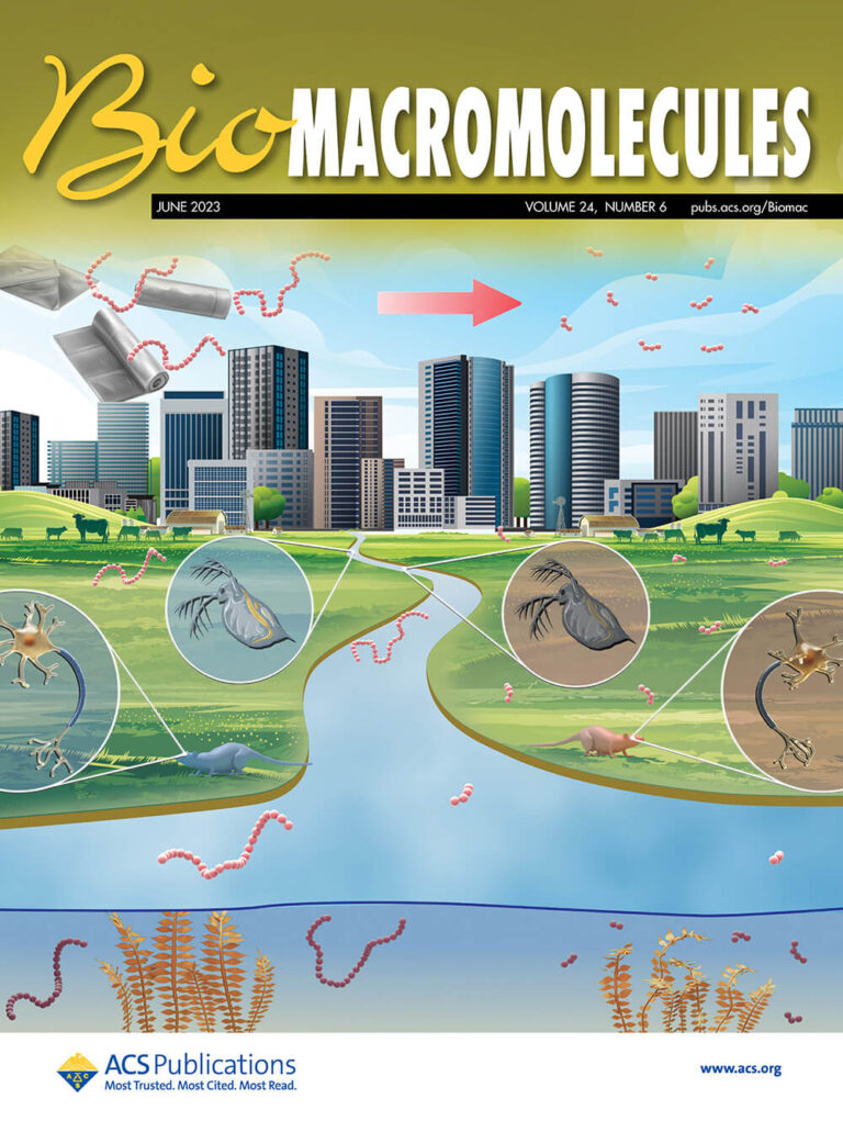 論文雑誌「Biomacromolecules」のカバーピクチャーを制作しました[理化学研究所] | 株式会社アートアクション