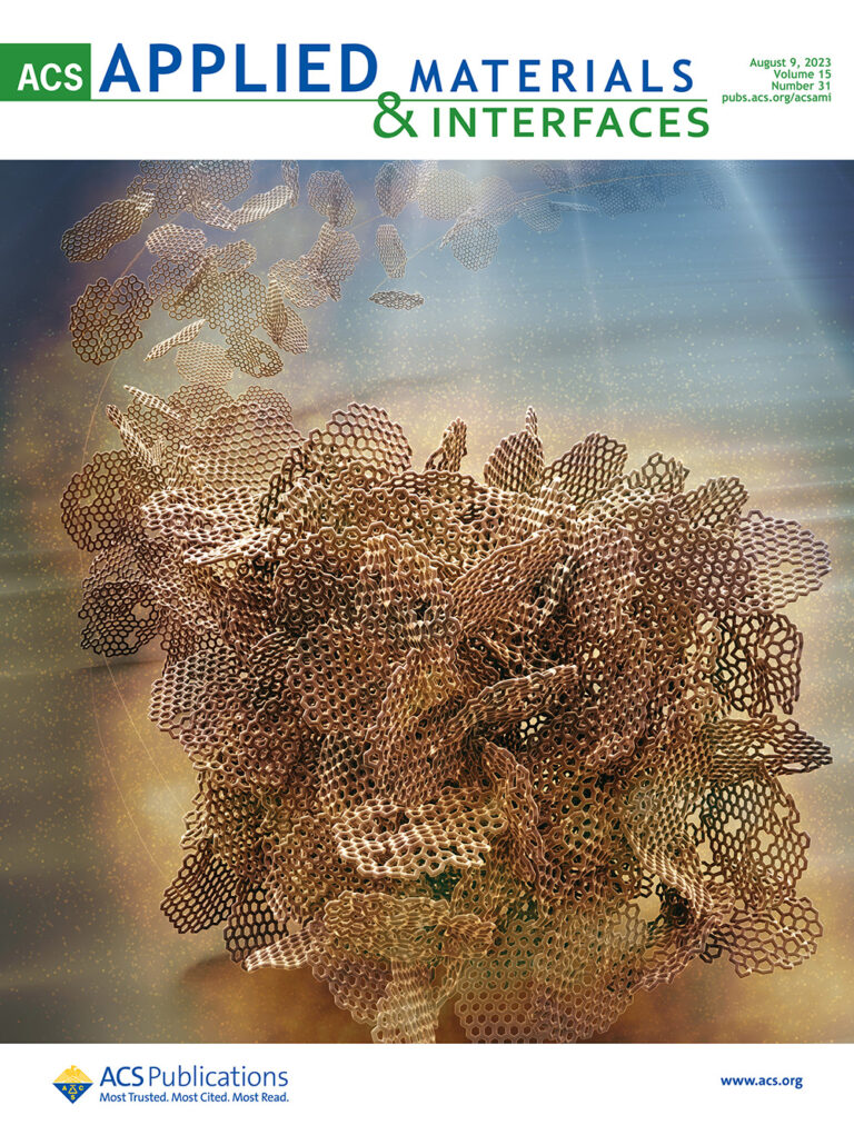 論文雑誌「ACS Applied Materials & Interfaces」のカバーピクチャーを制作しました[信州大学] | 株式会社アートアクション