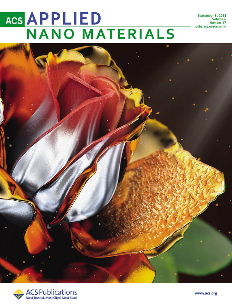 論文雑誌「ACS Applied Nano Materials」のカバーピクチャーを制作しました[産業技術総合研究所] | 株式会社アートアクション