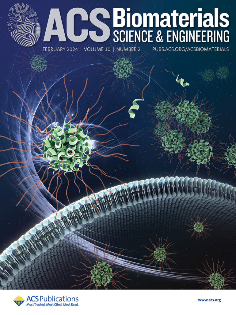 論文雑誌「ACS Biomaterials Science & Engineering」のカバーピクチャーを制作しました[国立医薬品食品衛生研究所] | 株式会社アートアクション