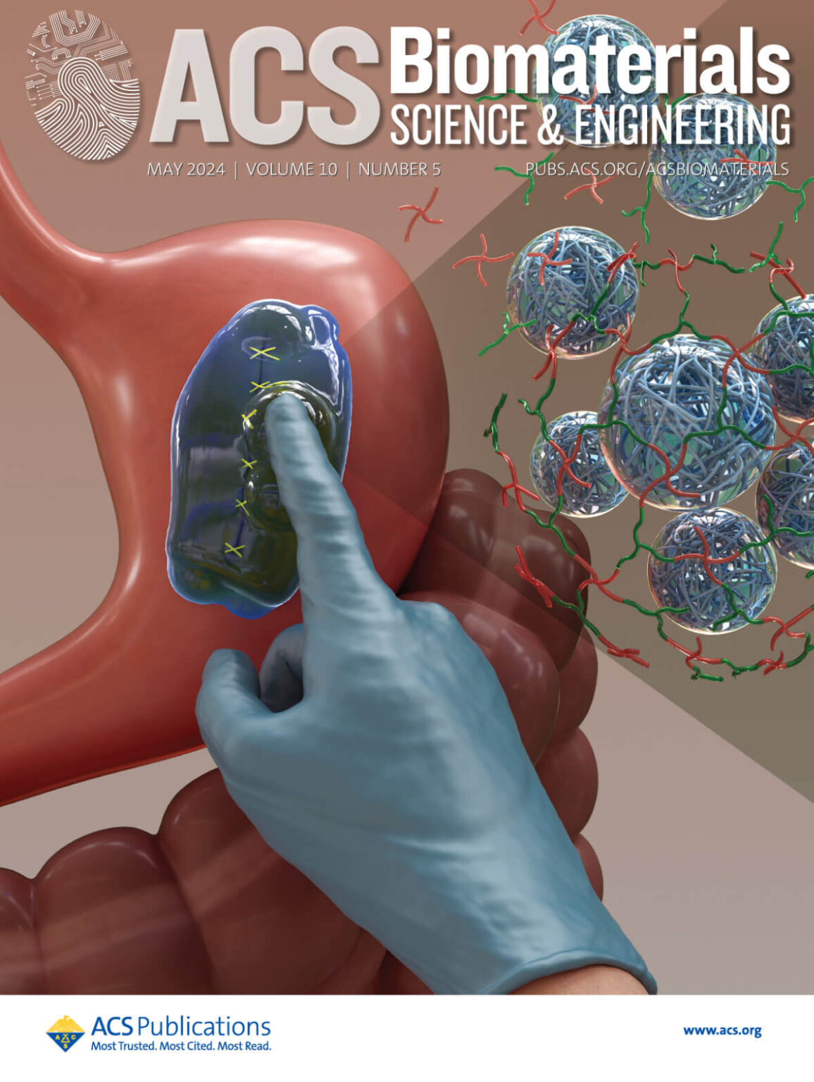 論文雑誌「ACS Biomaterials Science & Engineering」のカバーピクチャーを制作しました[東京大学] | 株式会社アートアクション