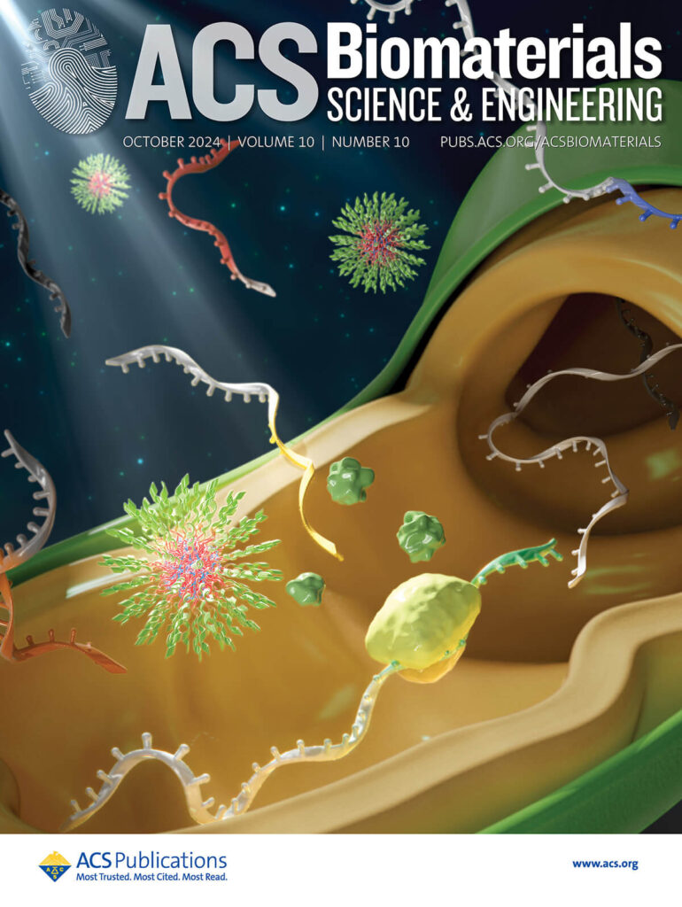 論文雑誌「ACS Biomaterials Science & Engineering」のカバーピクチャーを制作しました[理化学研究所 ...