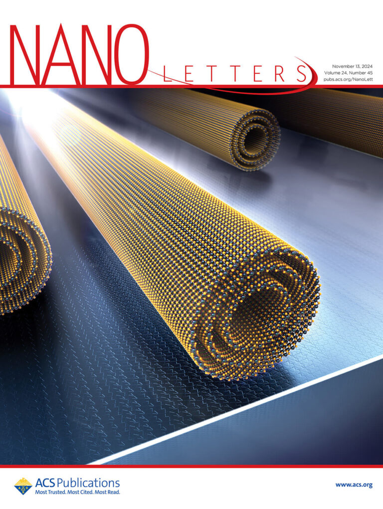 論文雑誌「Nano Letters」のカバーピクチャーを制作しました[東京都立大学] | 株式会社アートアクション